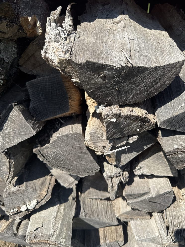 Firewood Harvesting Safety - Redemption Springs